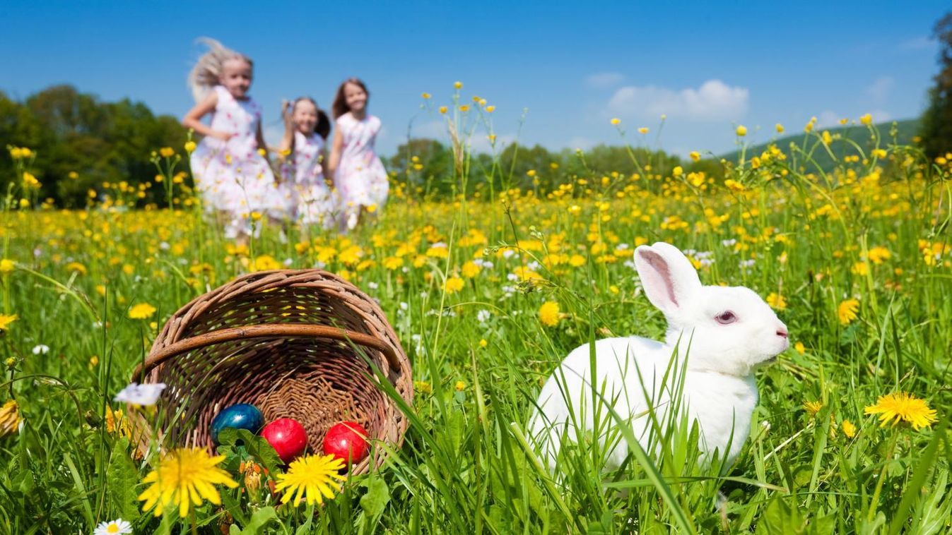 Ha húsvét, akkor tojásfestés és locsolás