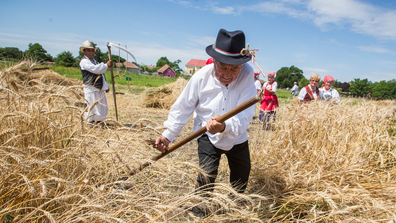 Kaszások, kévekötők, marokszedők arattak Besenyőtelken (fotókkal)