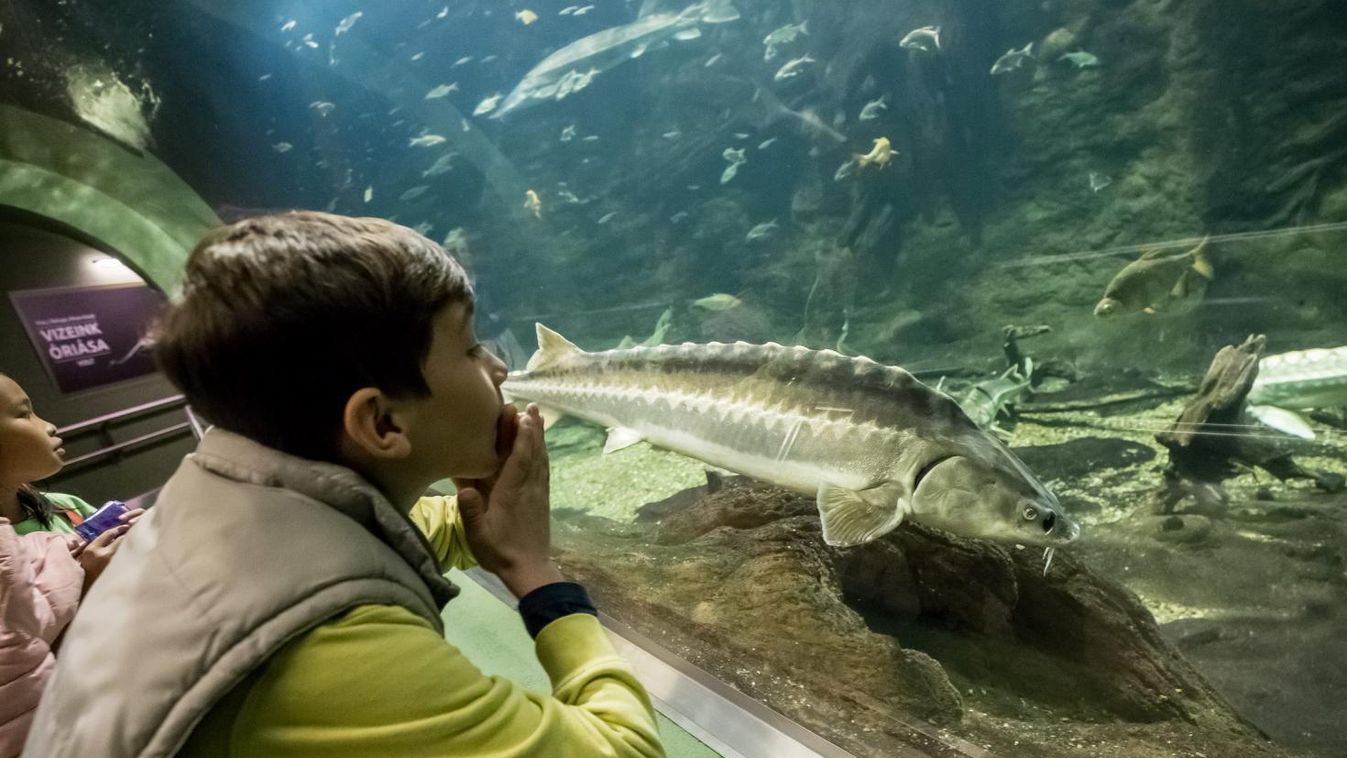 A látogatók kezében a Tisza-tavi Ökocentrum sorsa