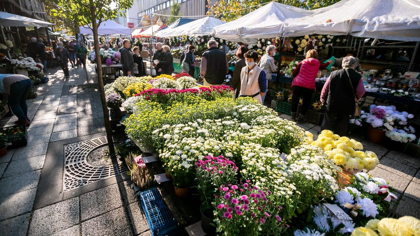 Drágábbak a sír virágai: megsültek a bimbók, nehezen nyílnak a szálas krizantémok