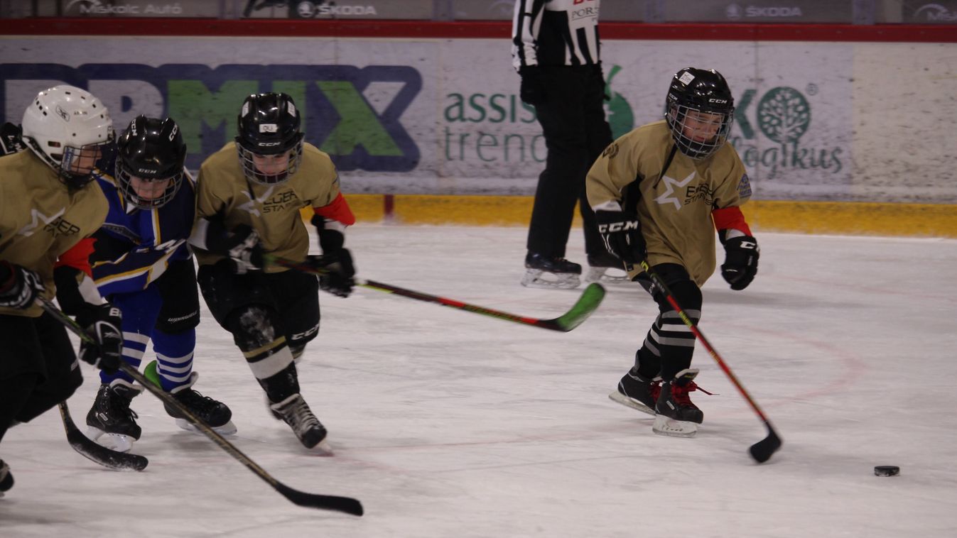 Idén a túlélés jelentette az Eger Stars célját