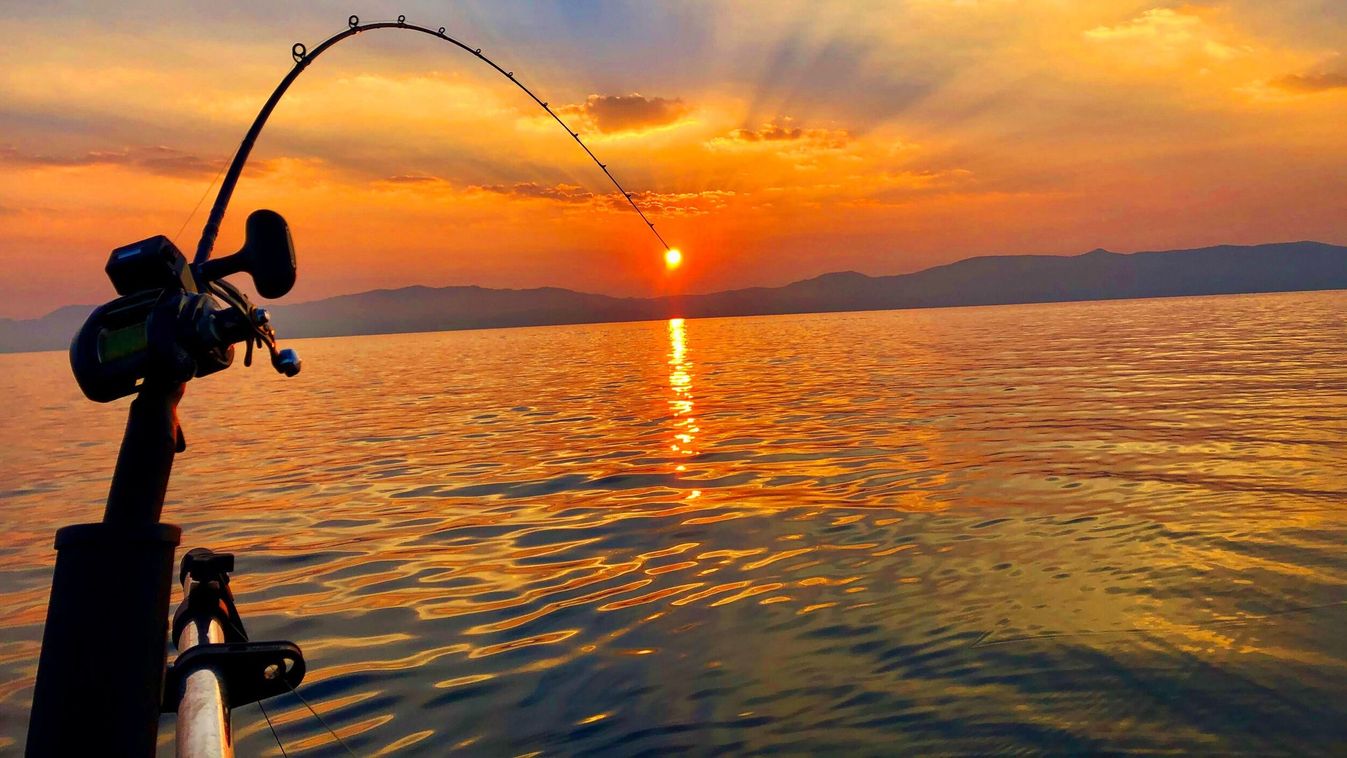 Eldobált damilok akadályozzák a tavaszi karbantartó munkákat a Tisza-tó ...
