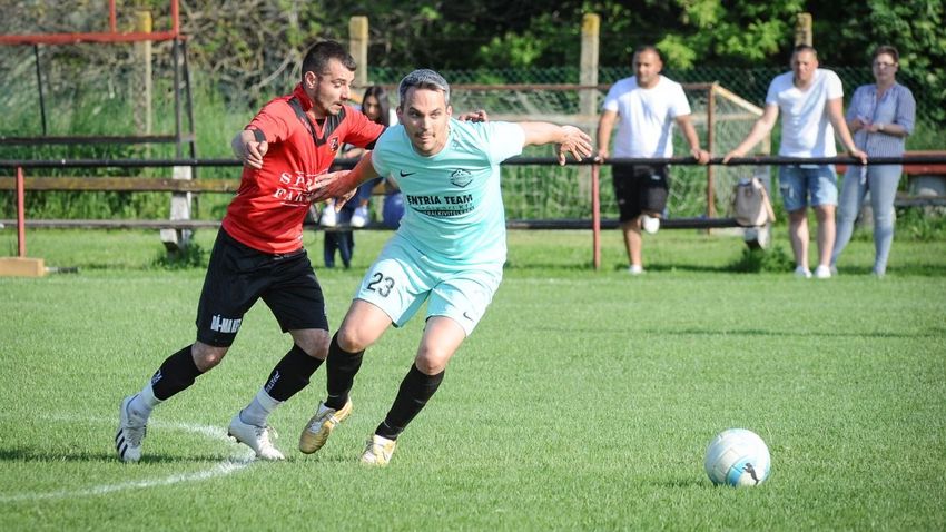 HEOL - A nyulak otthon maradtak, oroszlánokkal nyerte meg a mérkőzést ...