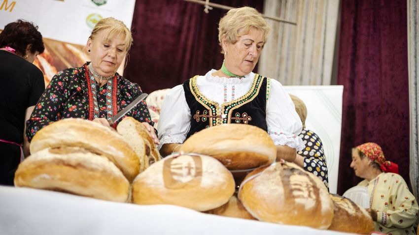 HEOL - Boldogon tartották meg a magyar kenyér ünnepének első idei ...