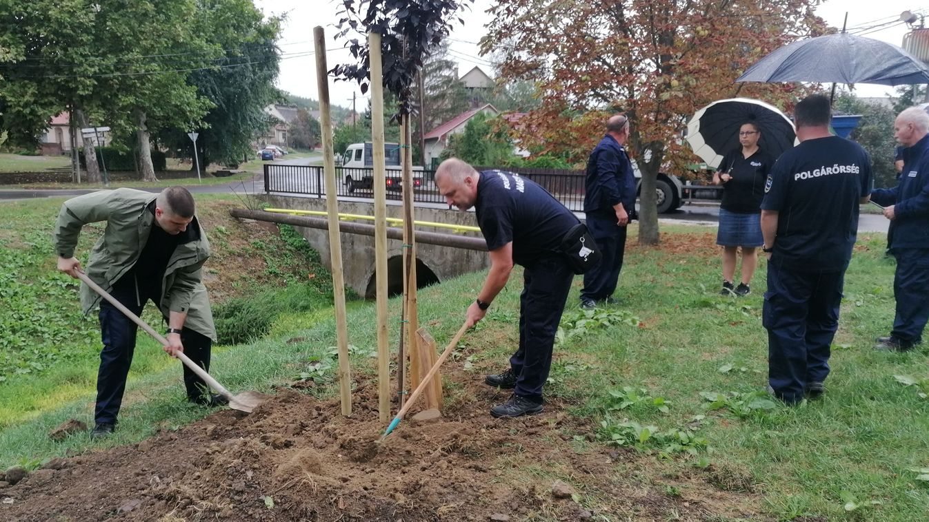 Vérszilvafa és emléktábla hirdeti a nagyrédei polgárőrség első ...