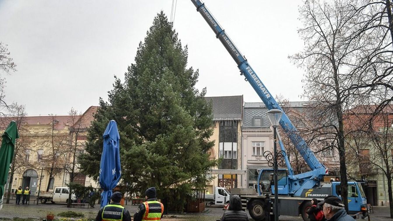 Már a Fő téren áll Gyöngyös karácsonyfája + fotók