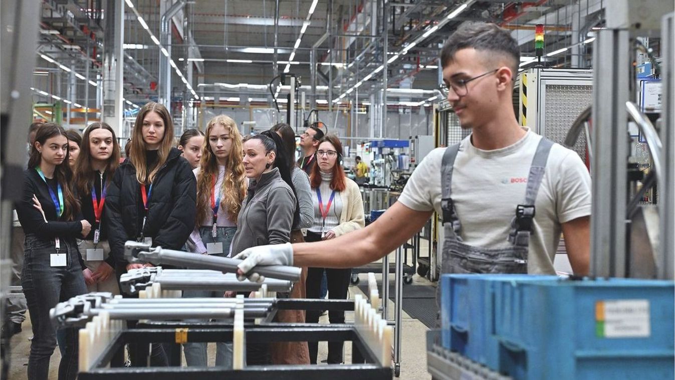 Bosch hatvan maklár hozzáadott érték