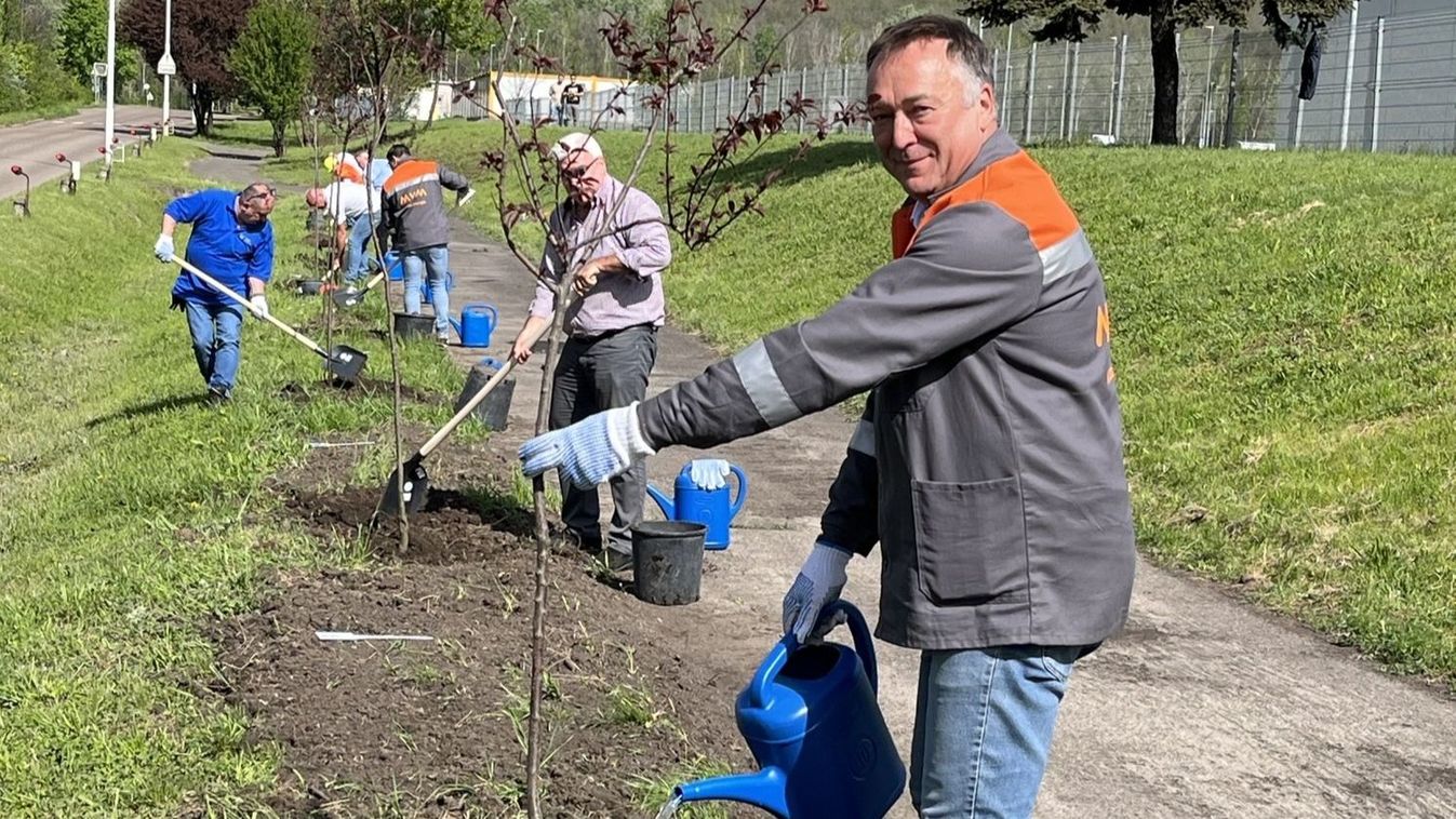 Faültetés a Mátrai Erőműben a környezetért