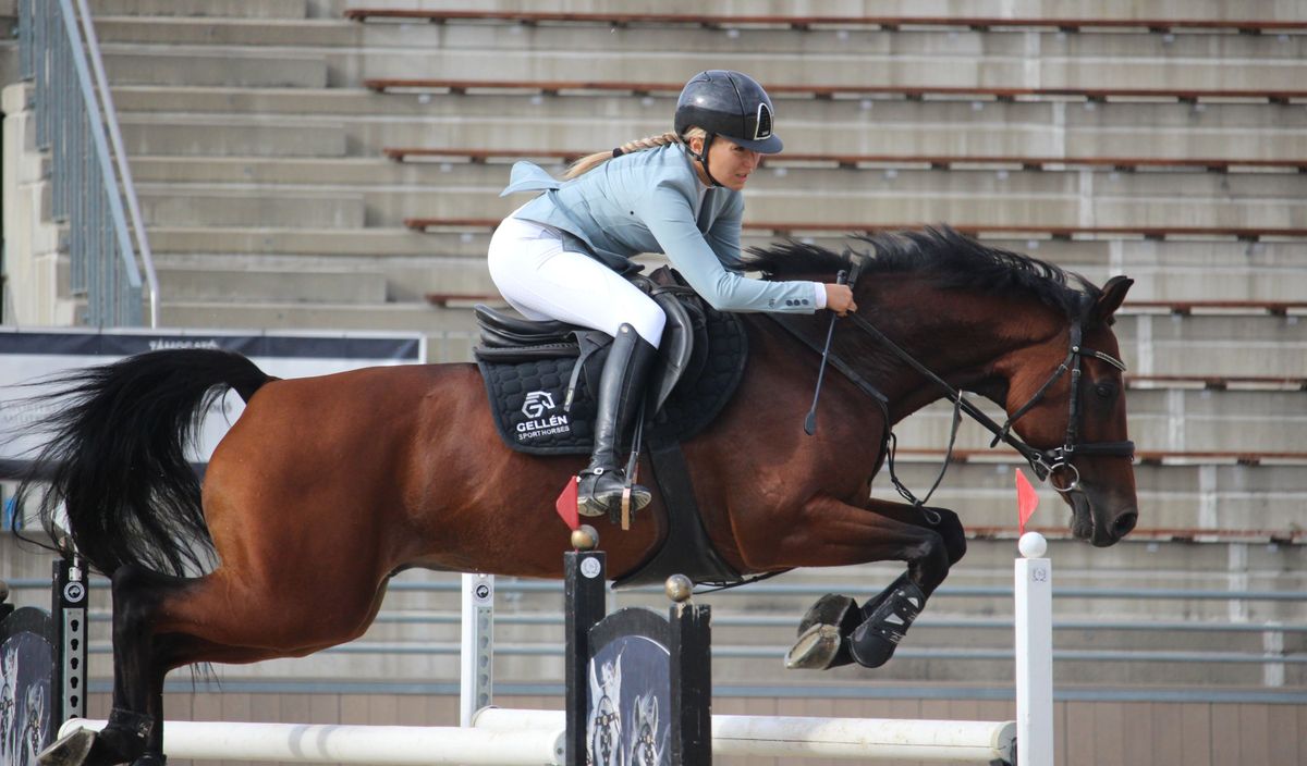 Régiós díjugrató bajnokságot rendeztek Szilvásváradon