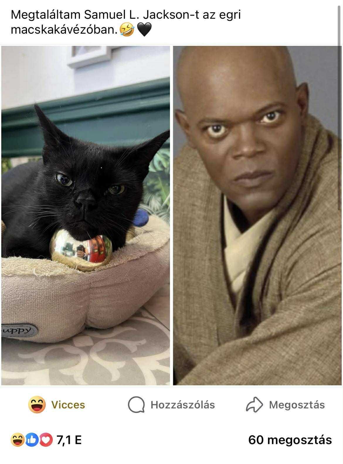 Samuel L. Jackson hasonmását találták meg Egerben