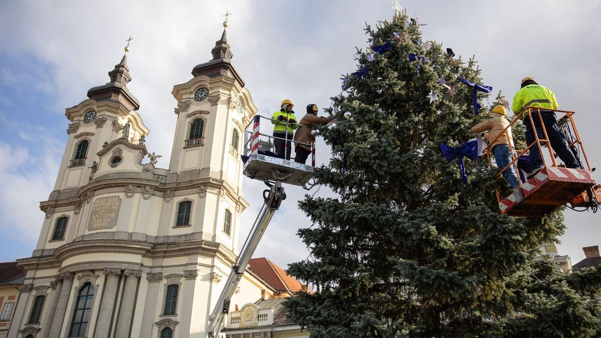 Eger adventre készülődik: már díszítik a fát a Dobó téren