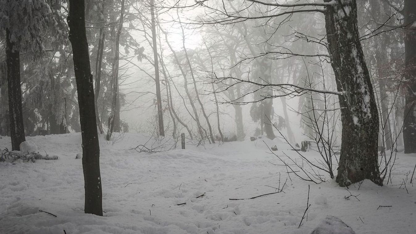 Vadászat miatt turistautak lesznek lezárva