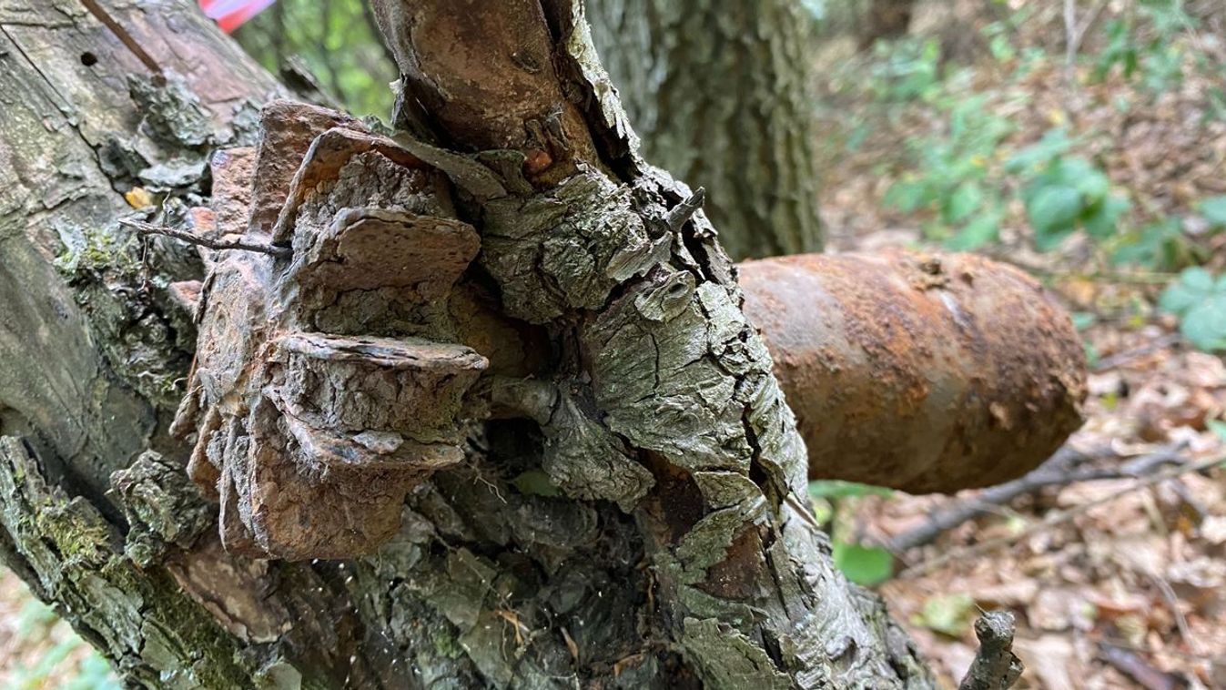 Bomba Hevesben: egy év alatt 58 alkalommal riasztották a tűzszerészeket